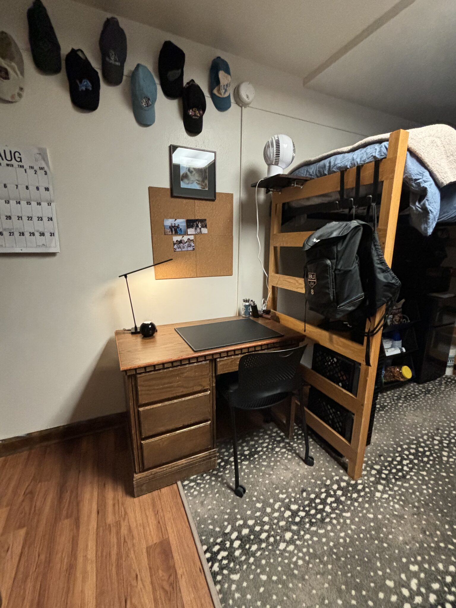 Dorm Room Set Up 2026 - Style Elevator