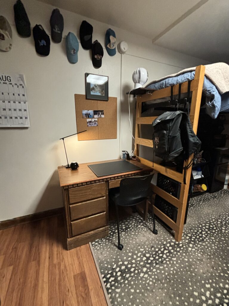 Best Dorm Room Essentials 2026: What Every College Freshman Needs ...